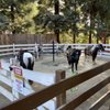LEMOS FARM - Updated September 2025 - 1175 Photos & 558 Reviews - 12320 ...