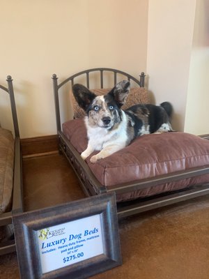 KICKAPOO RANCH PET RESORT - Updated October 2025 - 22 Photos & 42 ...