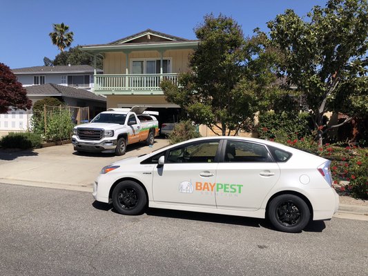 BAY PEST SOLUTION - Updated August 2025 - 10 Photos & 27 Reviews ...
