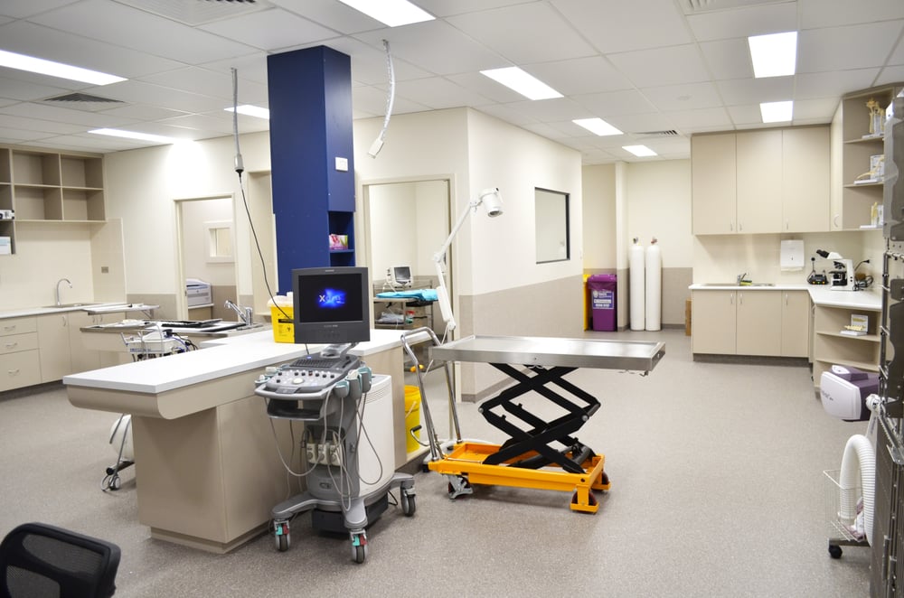 DROVERS VET HOSPITAL - 1397 Wanneroo Rd, Wanneroo Western Australia ...