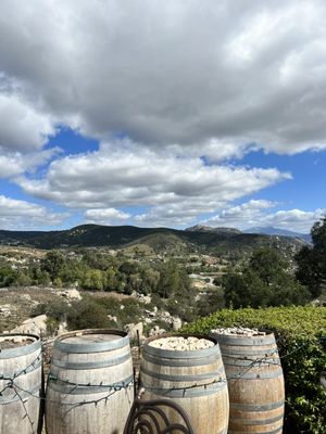 TURTLE ROCK RIDGE VINEYARD WINERY - Updated October 2025 - 136 Photos ...