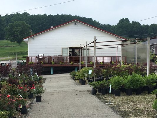 MUSSER FORESTS - Updated December 2025 - 1880 Route 119 Hwy N, Indiana ...