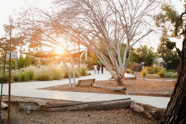 WALNUT CREEK NATURE PARK - Updated October 2025 - 77 Photos & 15 ...