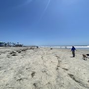 CARDIFF STATE BEACH - 313 Photos & 109 Reviews - 2504 S Coast Hwy 101 ...