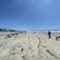 CARDIFF STATE BEACH - Updated September 2025 - 278 Photos & 120 Reviews ...