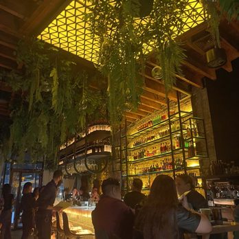 BOKAGUÁ - Updated June 2025 - 182 Photos & 64 Reviews - 3541 Riverdale ...