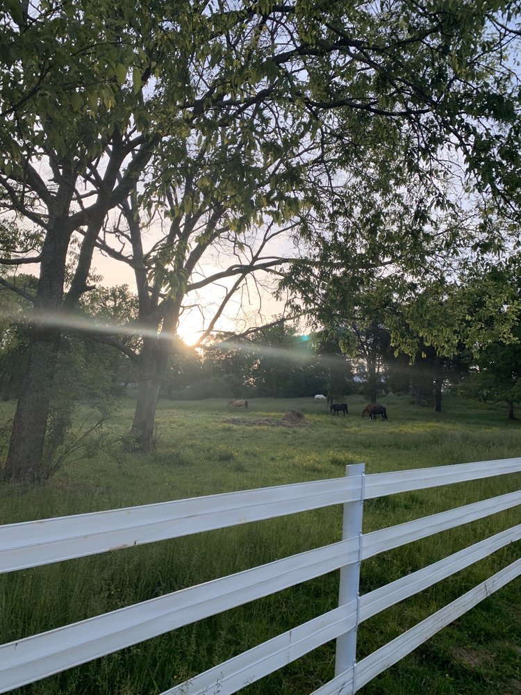 WILLIAM WHITFIELD PARK - Updated May 2024 - 13 Photos - 5101 Edmondson ...