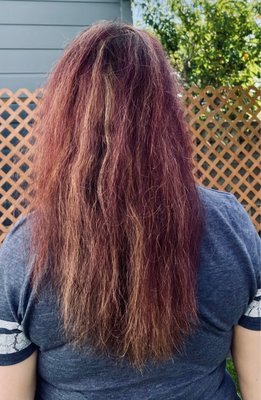 REFORM HAIR SALON - Updated April 2025 - 16 Photos - 1401 Castro St ...