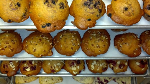 LOAFERS BREAD CO - Updated October 2025 - 14 Reviews - 1153 Freeport Rd ...