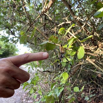 LEFFIS KEY PRESERVE - Updated October 2025 - 20 Photos - 2350 Gulf Dr S ...