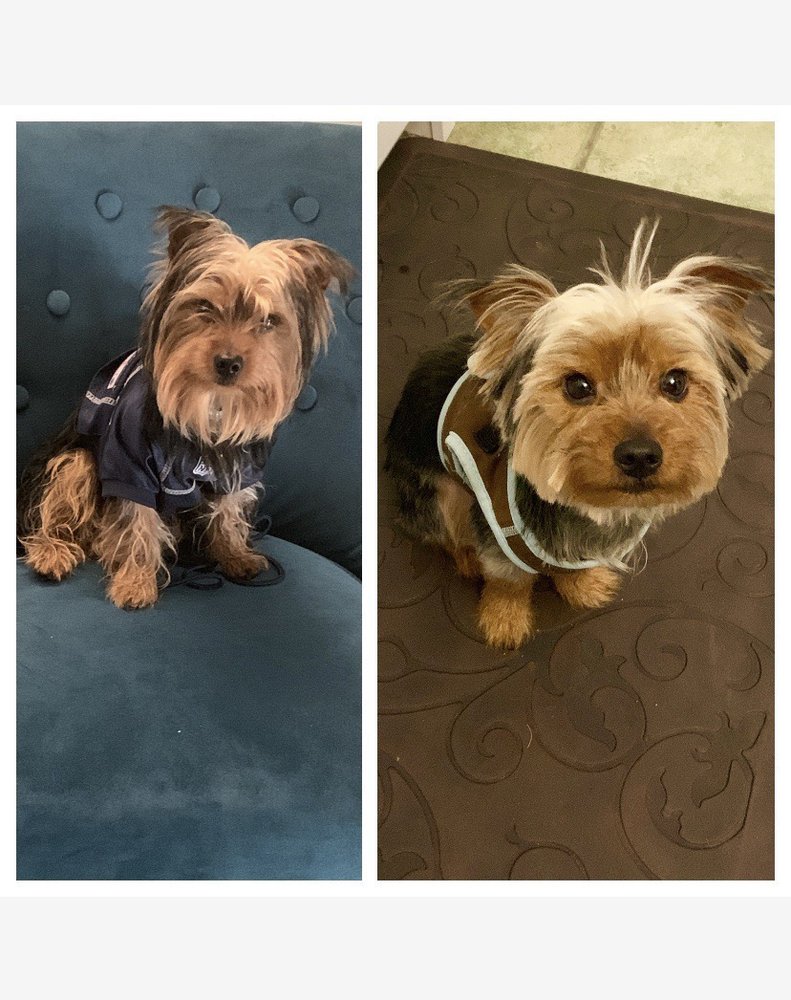 POOCHES PLAYGROUND - Updated July 2025 - 14 Photos & 23 Reviews - 4163 ...