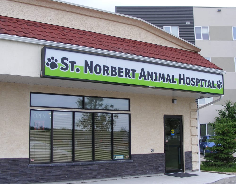 ST. NORBERT ANIMAL HOSPITAL - Updated January 2026 - 3311 Pembina ...