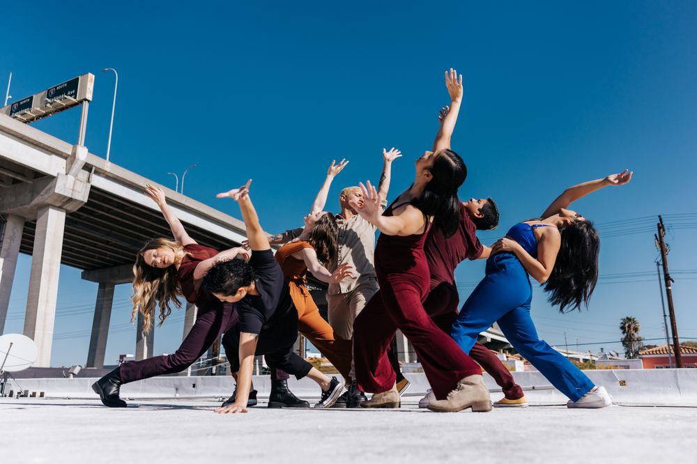 DISCO RIOT - Updated October 2025 - Request Information - 11 Photos ...