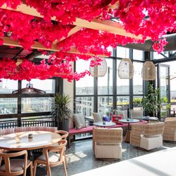 LUCHA ROSA ROOFTOP BAR - Updated June 2025 - 267 Photos & 115 Reviews ...