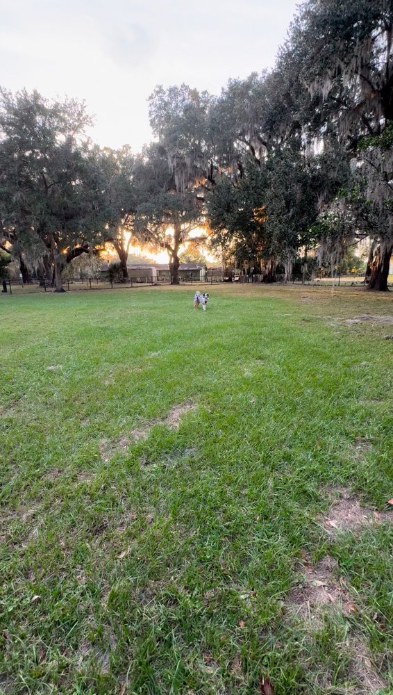 BECK RANCH PARK DOG PARK - Updated October 2025 - 18 Photos - SR-415 ...