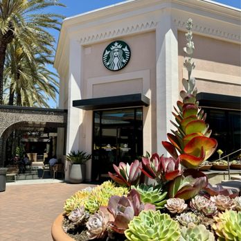STARBUCKS - Updated November 2024 - 197 Photos & 177 Reviews - 505 ...