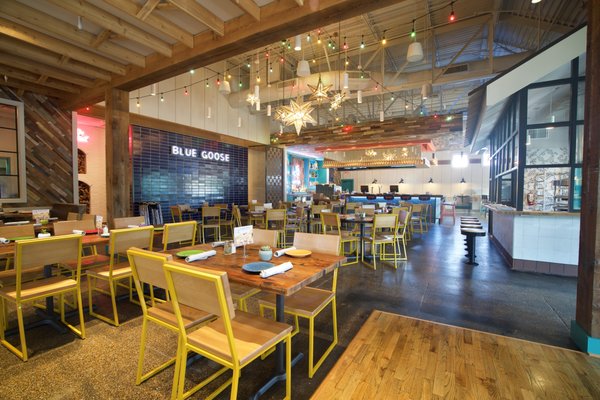 BLUE GOOSE CANTINA - 253 Photos & 325 Reviews - 4757 W Park Blvd, Plano ...