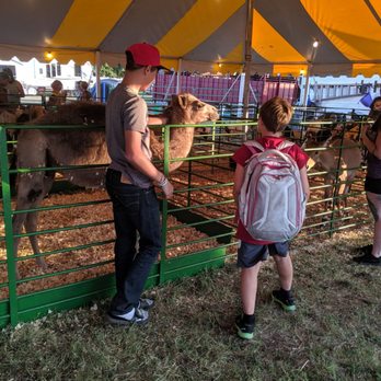 PRINCE WILLIAM COUNTY FAIR - Updated March 2025 - 78 Photos & 24 ...