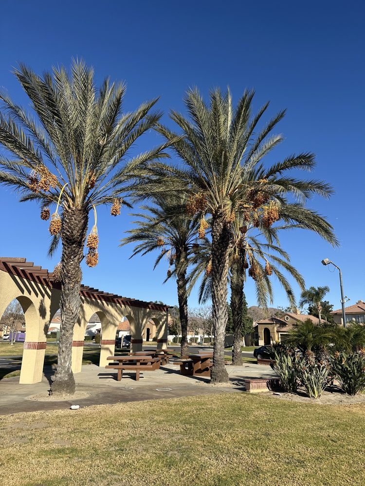 MATTHEW TREE SERVICE - Updated November 2025 - 291 Photos & 136 Reviews ...