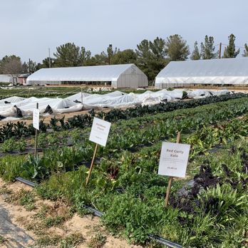 SCHNEPF FARMS - Updated August 2024 - 1042 Photos & 582 Reviews - 24610 ...