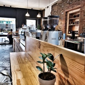 PETER RABBIT - Updated December 2025 - 90 Photos & 35 Reviews - 234-244 ...