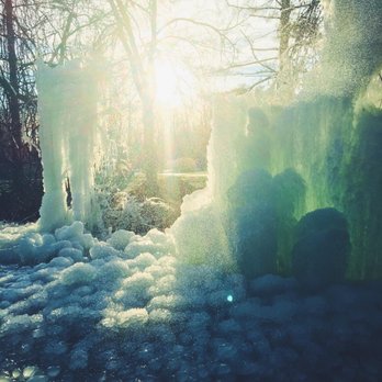 VEAL’S ICE TREE - Updated December 2025 - 36 Photos - 6445 Mimosa Ln ...