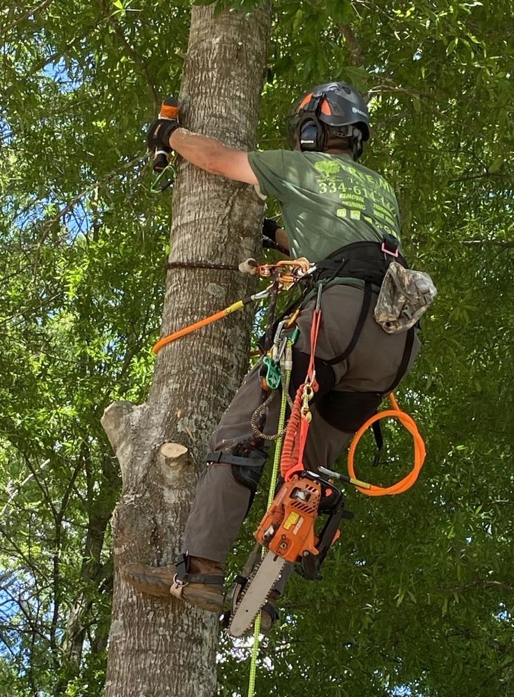 TREE MD - Updated January 2026 - Request a Quote - 31 Photos - Columbus ...