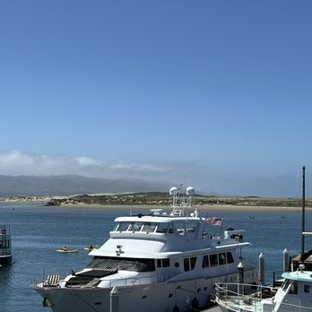 MORRO GRILL - Updated June 2024 - 62 Photos & 41 Reviews - 1215 ...