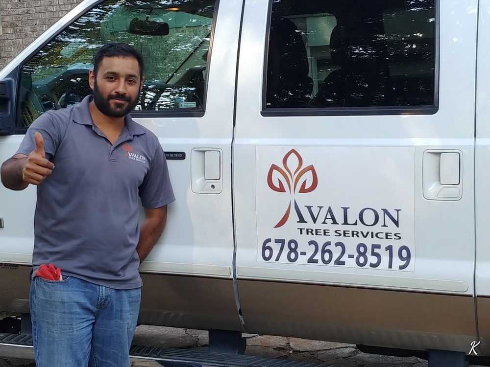 AVALON TREE SERVICES - 16 Photos - 375 Rockbridge Rd NW, Lilburn ...