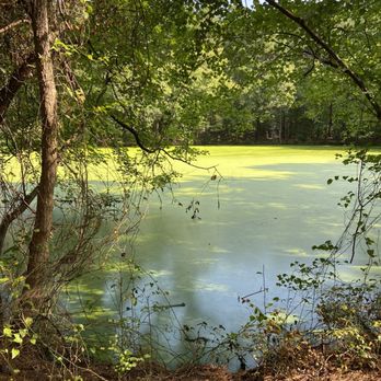 HARRIS LAKE COUNTY PARK - Updated December 2025 - 71 Photos & 23 ...