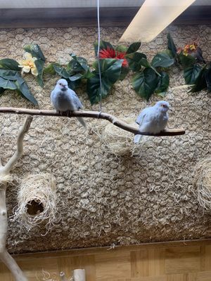 OXNARD MANOR HEALTHCARE CENTER - Updated August 2024 - 11 Photos & 31 ...