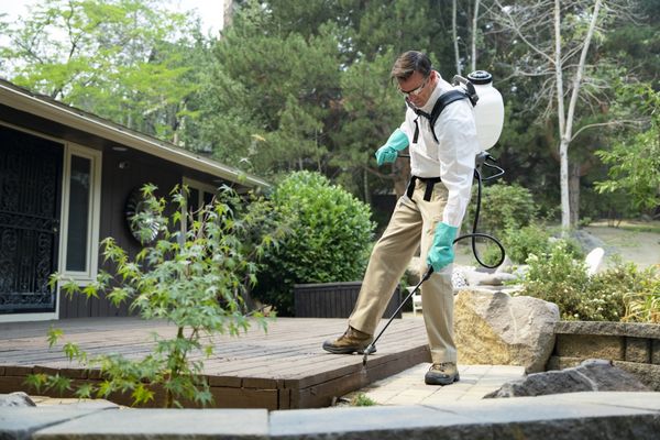 PESTMASTER OF MIAMI - Updated October 2025 - 107 Photos & 10 Reviews ...