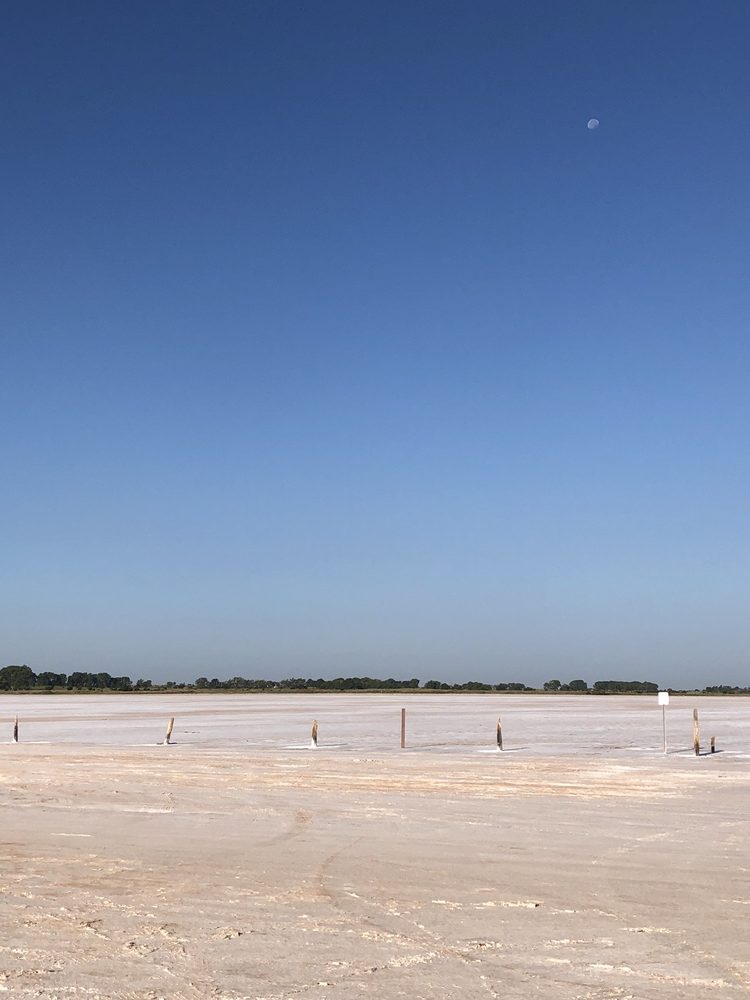 GREAT SALT PLAINS STATE PARK - Updated September 2024 - 54 Photos & 13 ...
