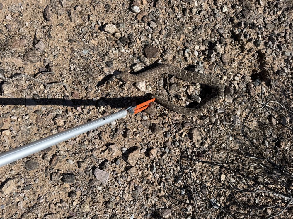 BUG HEAVEN PEST CONTROL - Updated September 2025 - Tonopah, Arizona ...