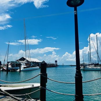 HALF SHELL RAW BAR - Updated August 2024 - 1251 Photos & 1000 Reviews ...