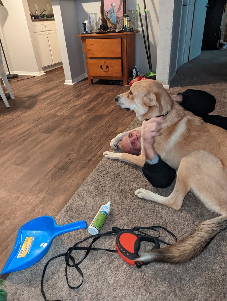 CHEW ANIMAL CLINIC - Updated December 2025 - 11 Reviews - 8484 Walnut ...