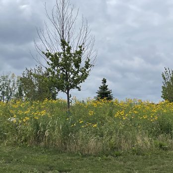 TECHNY PRAIRIE PARK AND FIELDS - Updated December 2025 - 49 Photos & 10 ...