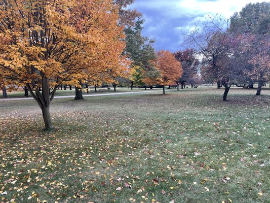 FORMAR NATURE PRESERVE & ARBORETUM - Updated July 2025 - 25 Photos & 13 ...