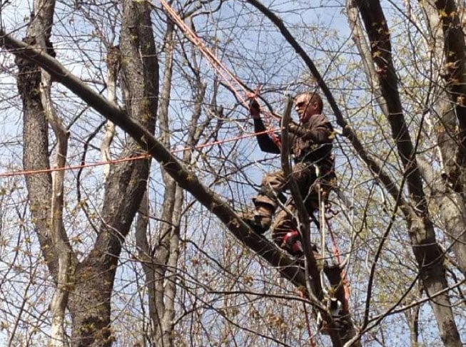 BEEGHLY TREE SERVICE, LLC - Updated September 2025 - 219 Hillvale Rd ...