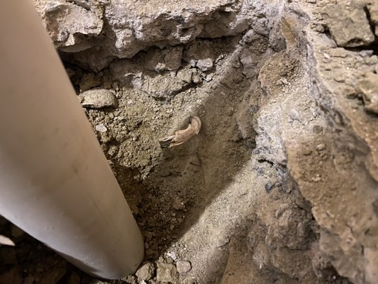 Allen Service - Updated January 2026 - 63 Photos - 144 Reviews - 101 S ...