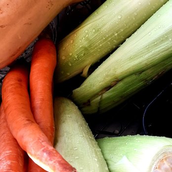 MILLER FARMS - Updated September 2025 - 97 Photos & 83 Reviews - 9040 ...