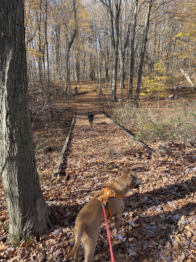 PRAIRIE WOLF PARK - Updated October 2025 - 18 Photos - 8555 Kalamazoo ...