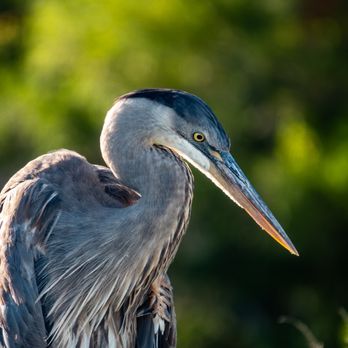 IVEY’S - Updated January 2026 - 71 Photos & 111 Reviews - 18427 ...