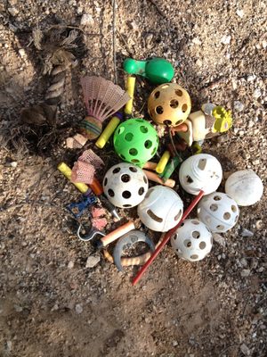 MR PACK RAT - Updated December 2025 - 30 Photos & 30 Reviews - Tucson ...