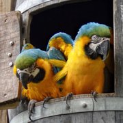 KISMA PRESERVE - 14 Photos & 15 Reviews - Zoos - 446 Bar Harbor Rd ...