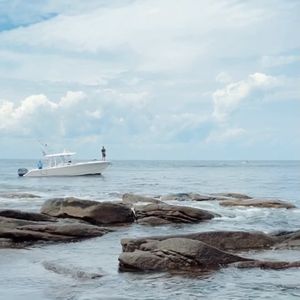 HALIBUT POINT STATE PARK - 151 Photos & 91 Reviews - 16 Garfield Ave ...