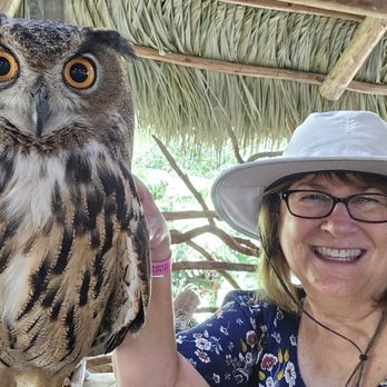 ZOOLOGICAL WILDLIFE FOUNDATION - Updated September 2025 - 927 Photos ...