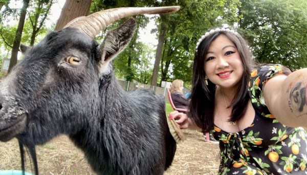 THE BELMONT GOATS - Updated May 2026 - 59 Photos & 26 Reviews - 6631 N ...