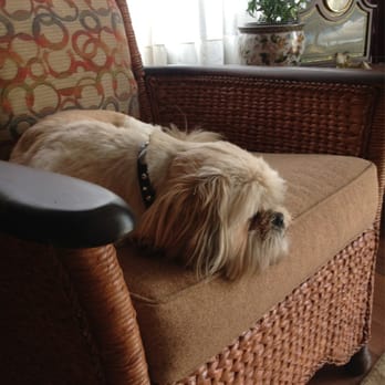 RIN TIN INN KENNELS - Updated January 2026 - 11631 219th Ave NW, Elk ...