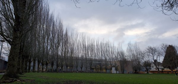 UNTHANK PARK - Updated December 2025 - 11 Reviews - 510 N Shaver St ...